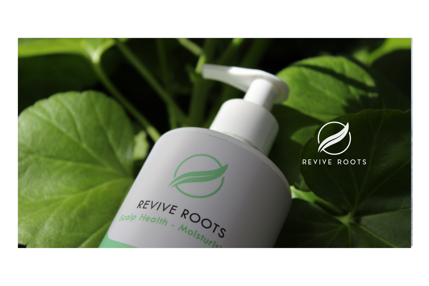 Revive Roots Organics | Natural Hair Growth Solutions for Healthy Hair